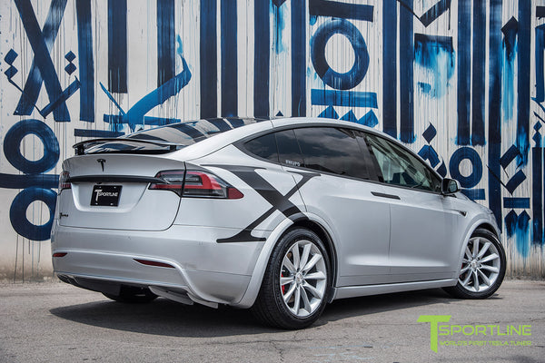 Silver Model X with 20" TST Tesla Wheel in Brilliant Silver 3 - T ...