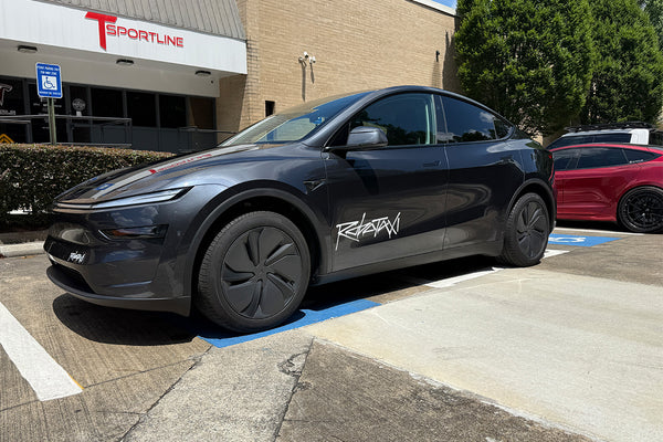 Tesla Robotaxi Door & Bumper Decal Set (Set of 4 Vinyl Emblems) - T ...