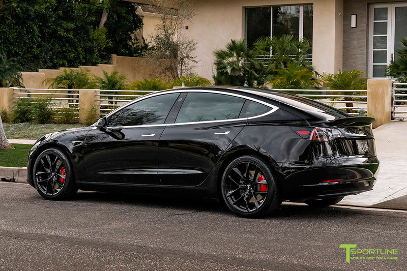 TSS 19" Tesla Model 3 Wheel (Set of 4) - T Sportline - Tesla Model S, 3 ...