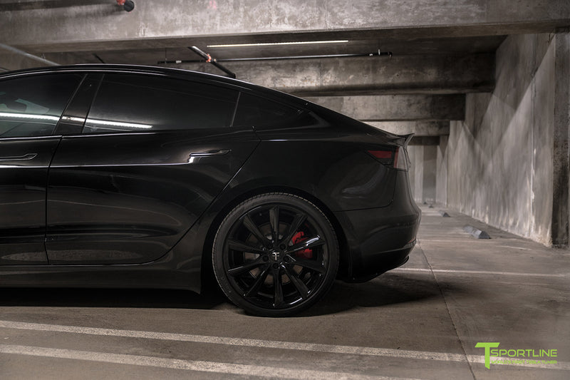 Tesla Model 3 Sport Lowering Springs for Single and Dual Motor Model 3 ...