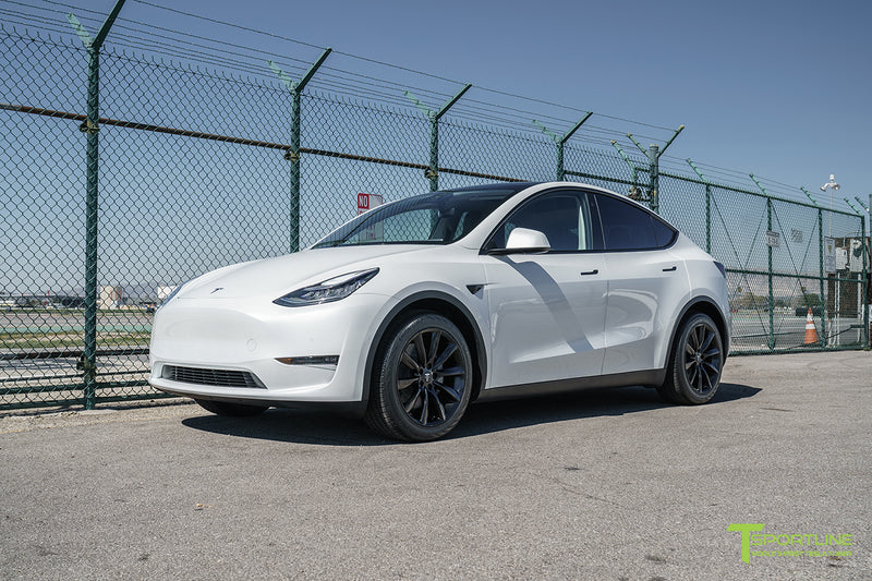 TST 19" Tesla Model Y Wheel and Winter Tire Package (Set of 4) - T ...