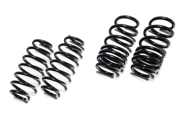 Tesla Model Y Sport Lowering Springs for Dual Motor and Performance ...