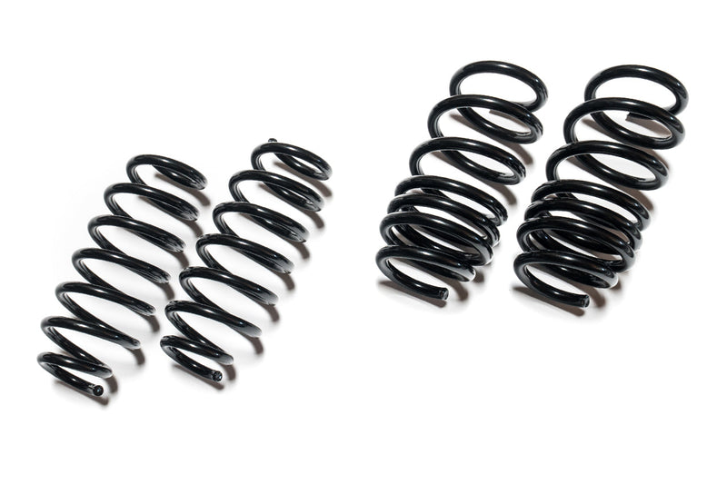 Tesla Model Y Sport Lowering Springs for Dual Motor and Performance ...