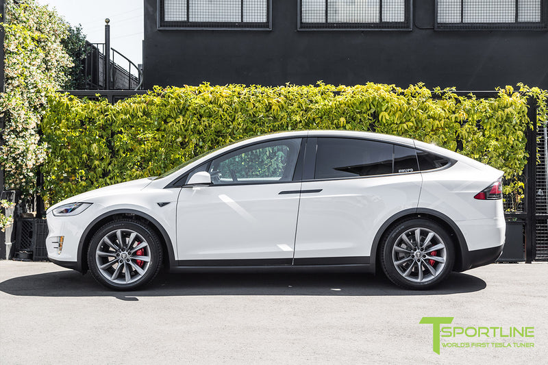 TST 20" Tesla Model X Wheel and Tire Package (Set of 4) - T Sportline ...